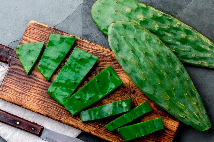 Los beneficios de la baba del nopal - Centro de Investigación en Alimentación y Desarrollo (CIAD)