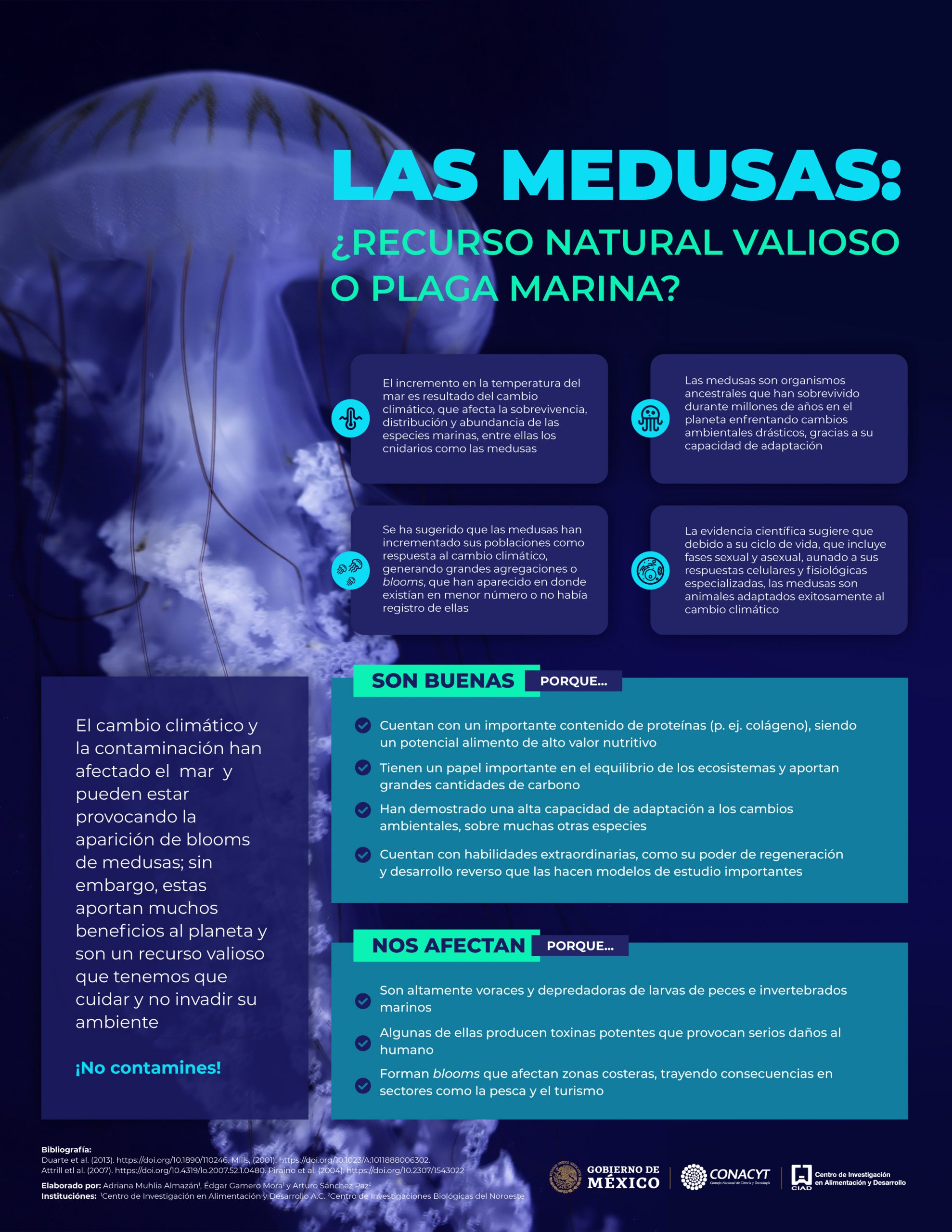 Medusas Belleza Y Simplicidad Ancestral Con Características Biológicas