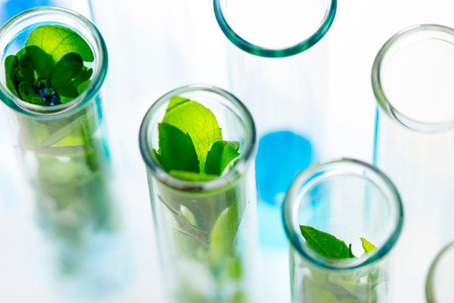 Conciencia en la ciencia: química verde y sus aplicaciones en la ...