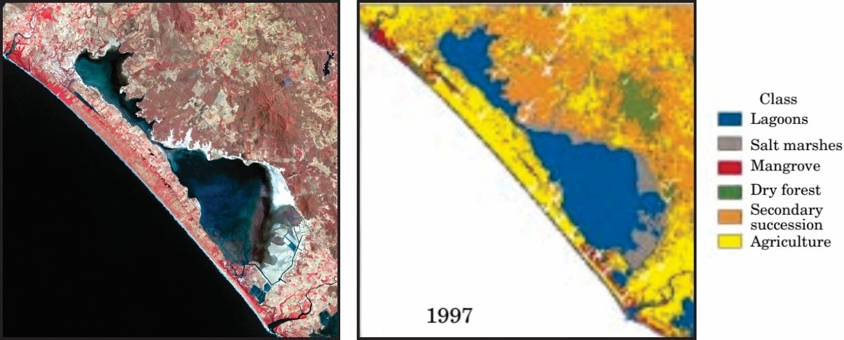 La importancia de los humedales y su monitoreo con tecnologías avanzadas - Centro de ...
