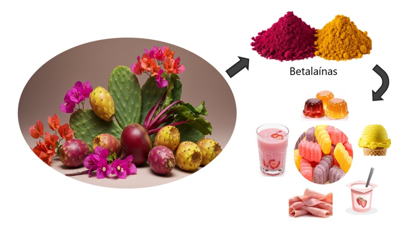 Betalaínas: una alternativa natural y saludable para sustituir ...